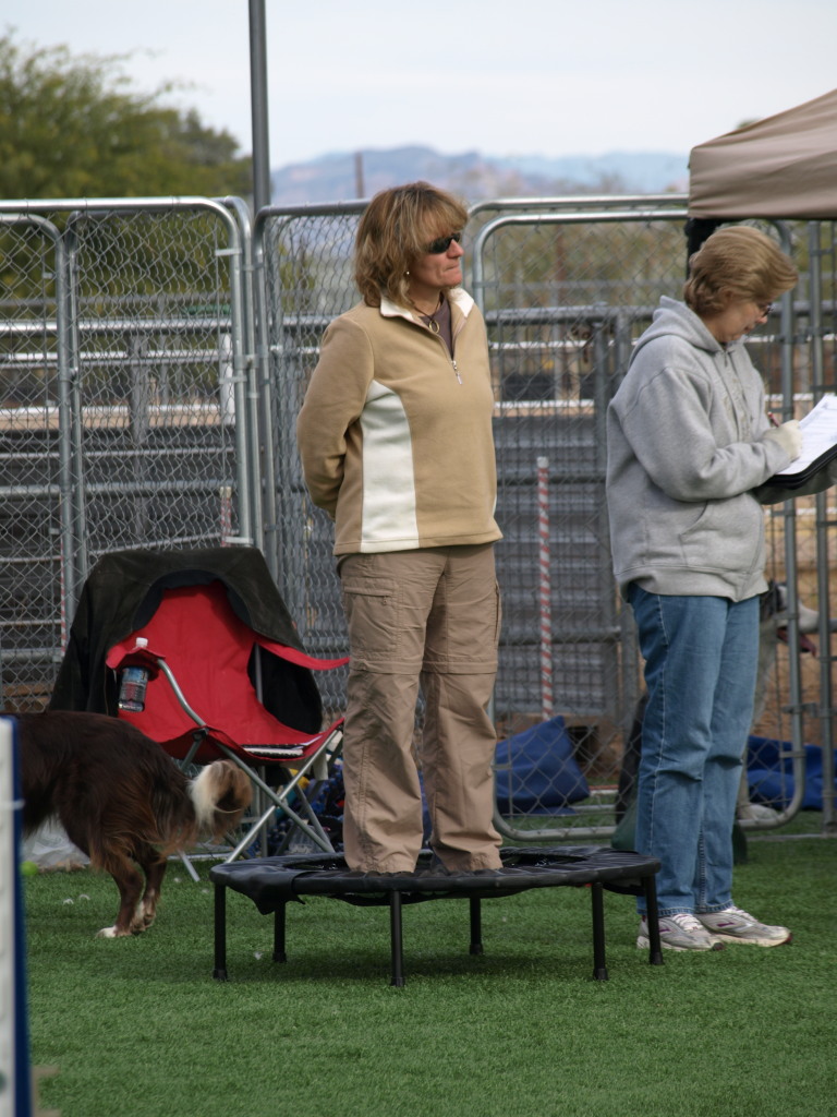 Back in the Saddle | Susan Garrett's Dog Training Blog
