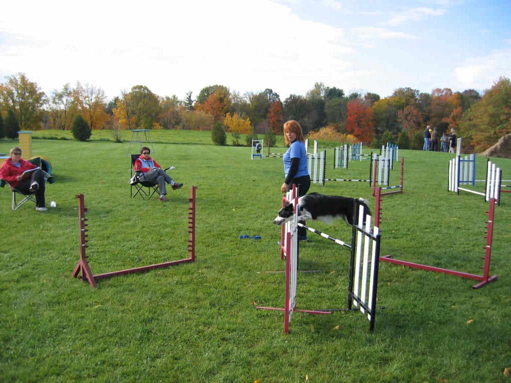 Defining Success | Susan Garrett's Dog Training Blog