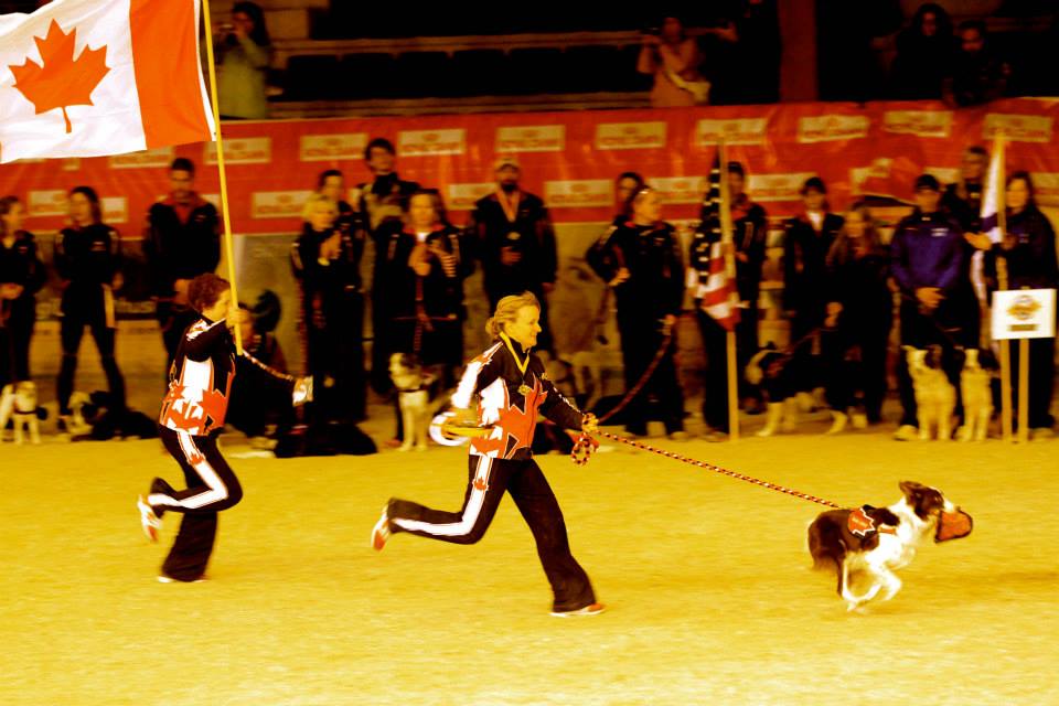 Susan Garrett - International Agility Championship in Spain - Say Yes ...