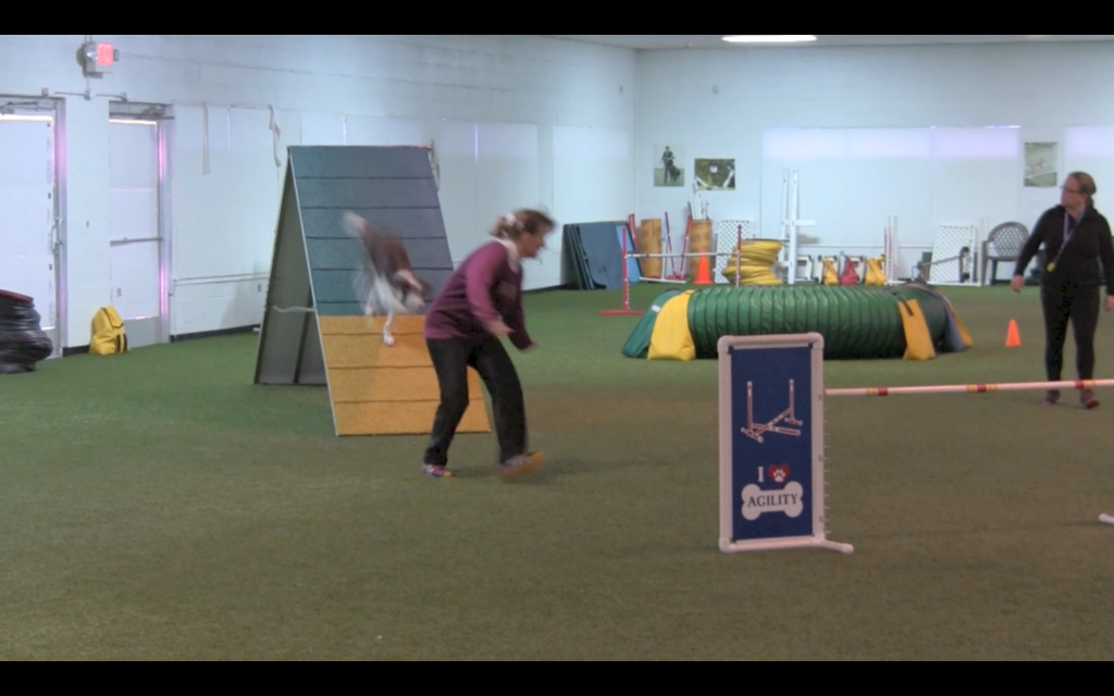 Handling360 In Action! | Susan Garrett's Dog Training Blog