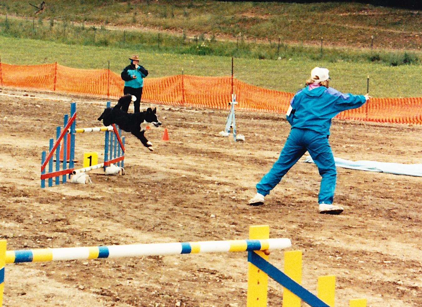The Chicken and the Egg Debate in Dog Agility | Susan Garrett's Dog ...