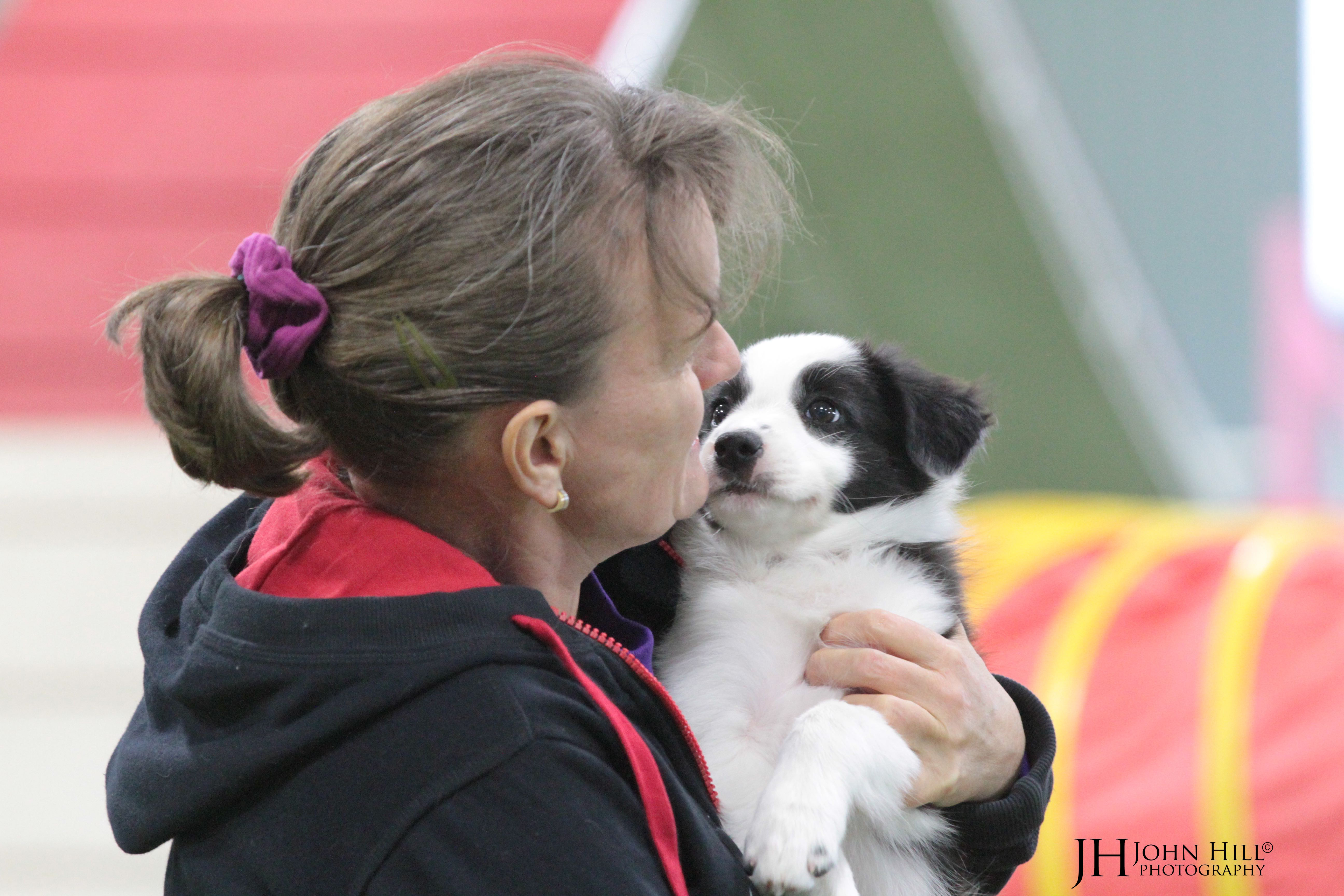 The 8 Week Old Puppy: Transitioning From Unruly To Unbelievable | Susan ...