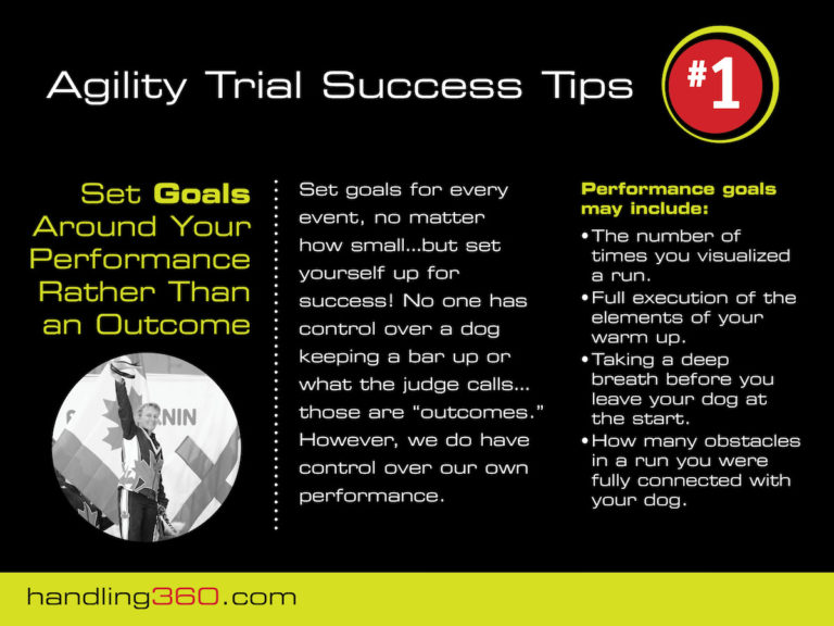 Be Your BEST in Agility: 10 Tips to Get You THERE! | Susan Garrett's ...