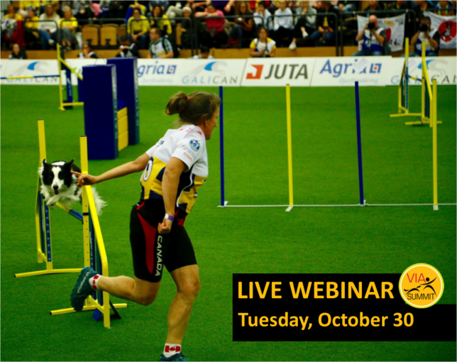 LIVE WEBINAR: How to Increase the Speed Your Agility Dog Learns | Susan ...
