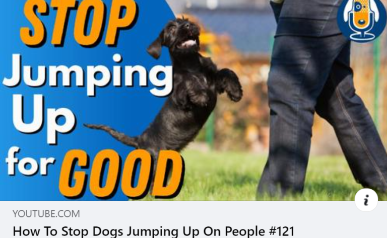 How Do I Train My Dog NOT To Jump Up? | Susan Garrett's Dog Training Blog